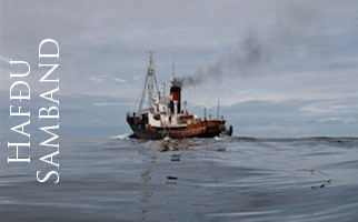 Hafðu samband | Stýrivélaþjónustan